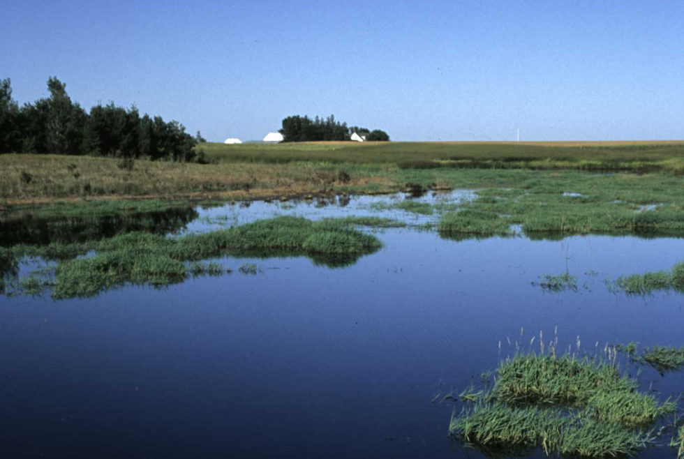 Habitat and Wildlife – Prairie Rivers of Iowa
