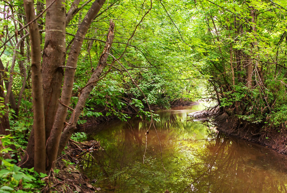 Habitat and Wildlife – Prairie Rivers of Iowa
