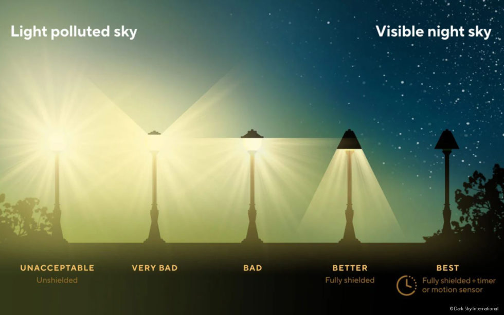 Glitter in Your Grass: The Secret Lives of Fireflies - Prairie Rivers ...